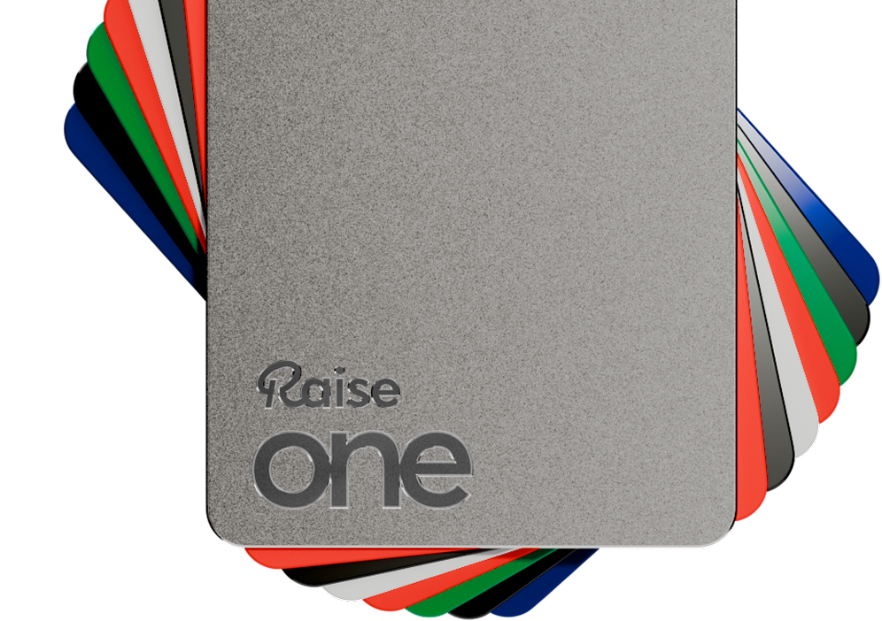 Earn Rewards on your Every Day Purchases | Raise